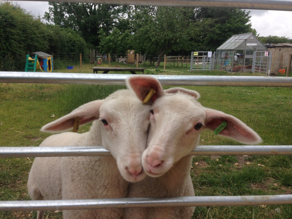 About – Benjamin Sargent